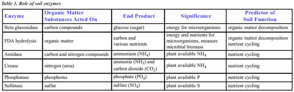 Soil Enzymes | South Dakota Soil Health Coalition